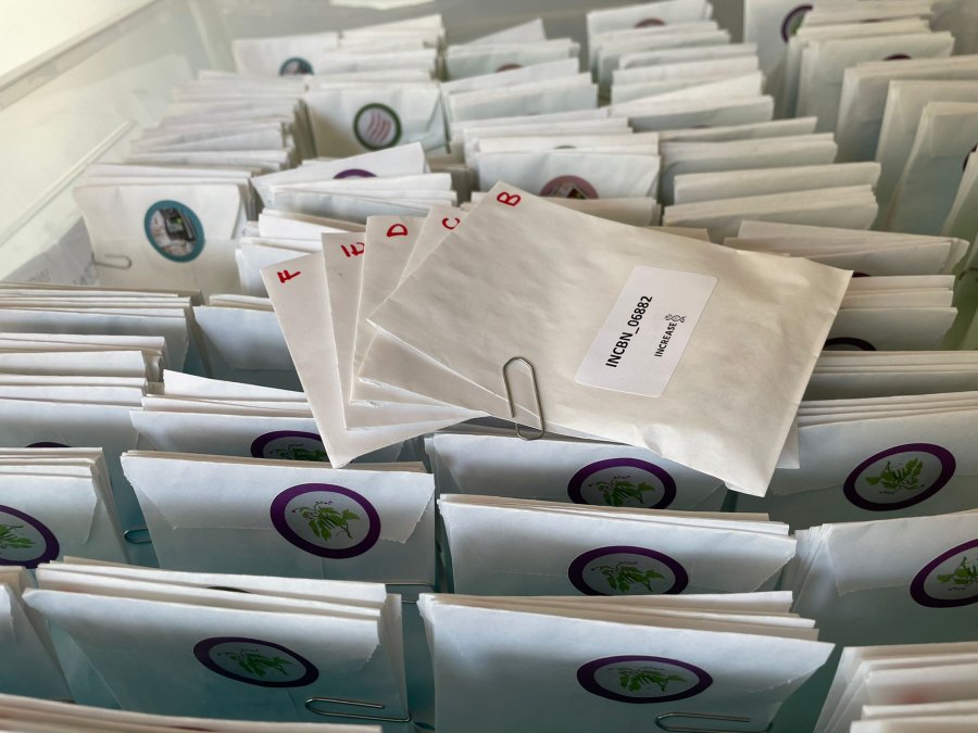 20.000 seed bags for 3.000 INCREASE Citizen Scientists | INCREASE